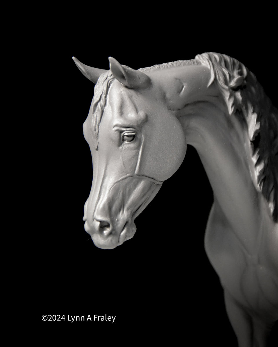 Saddiq – Lynn A. Fraley