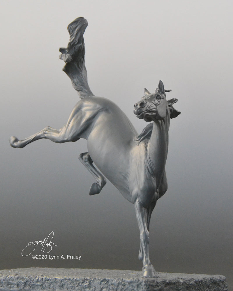 Poppy – Lynn A. Fraley